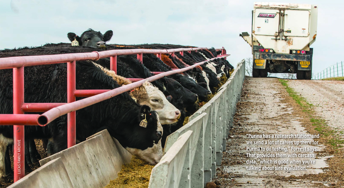 Sustainable Beef Ranch – Beefing Up Sustainability